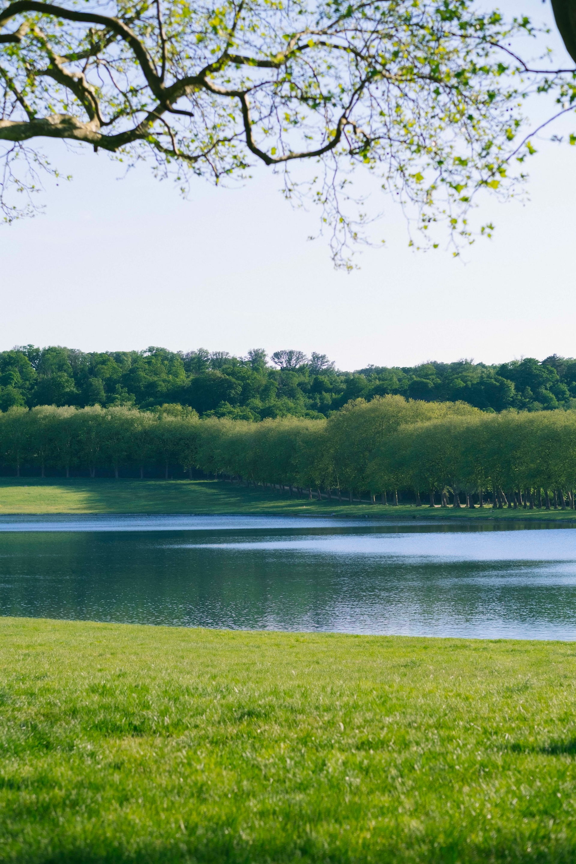 Dog Agility Course | 5* hotel | Château de Versailles